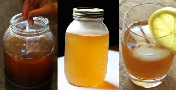 Cara minum Teh Kombucha - Wiki Kombucha