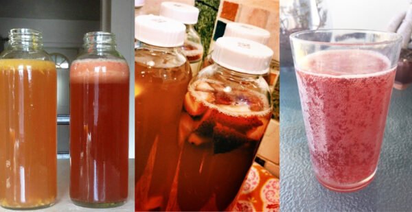 Cara minum Teh Kombucha - Wiki Kombucha