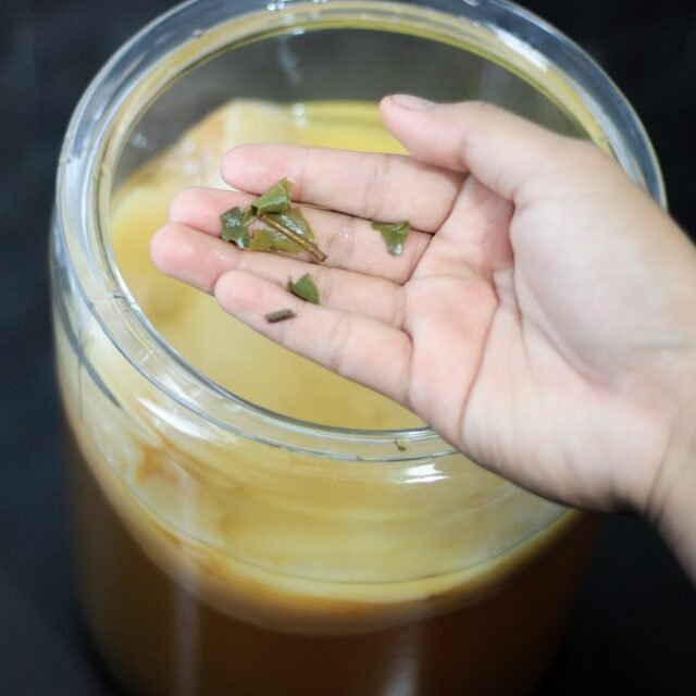 Fermentasi Primer Archives - Wiki Kombucha